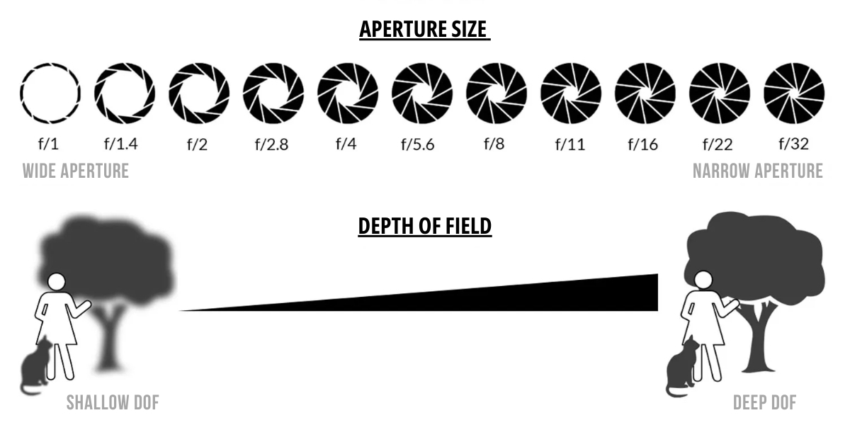 Depth Of Field Illustration